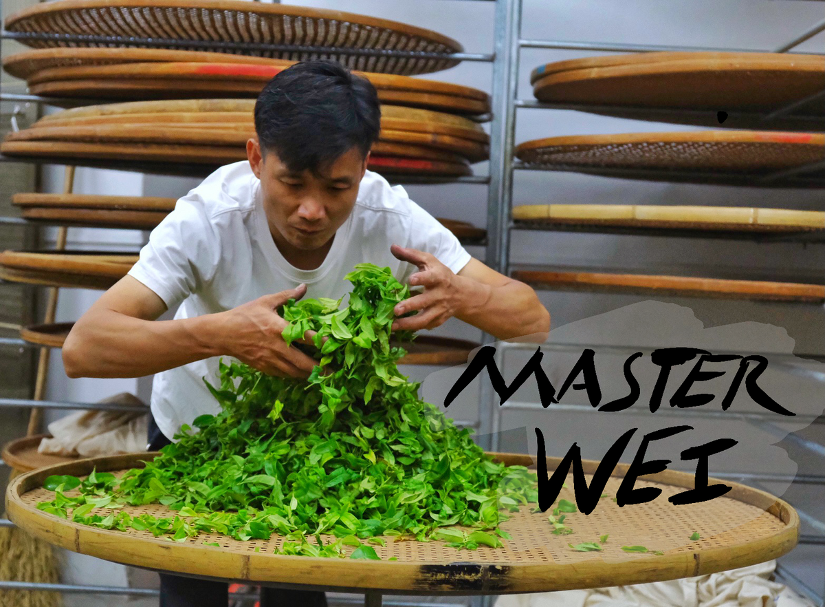 Master Wei High Mountain Oolong Tea Farm and Tea Making Information ...