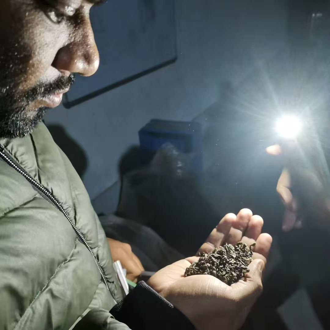 ”Spoiled“ Tea: What Moisture Does to Tea – One River Tea