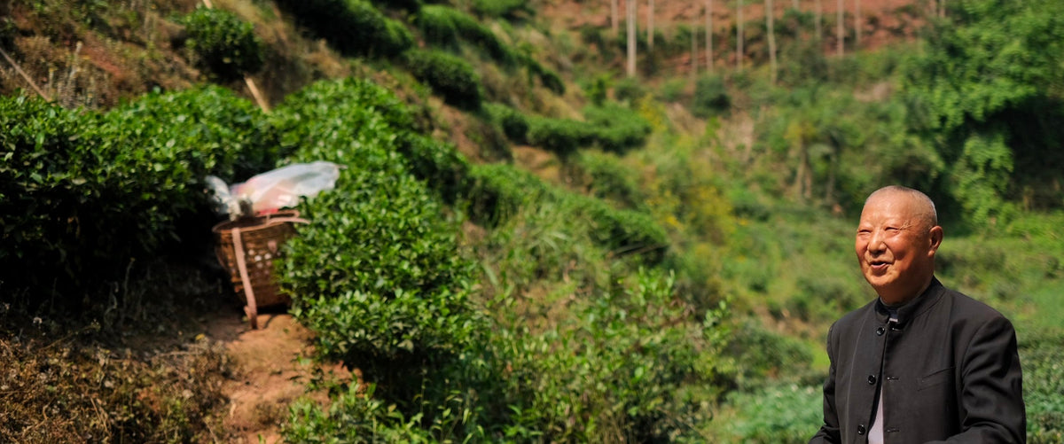 Emei Teas – One River Tea