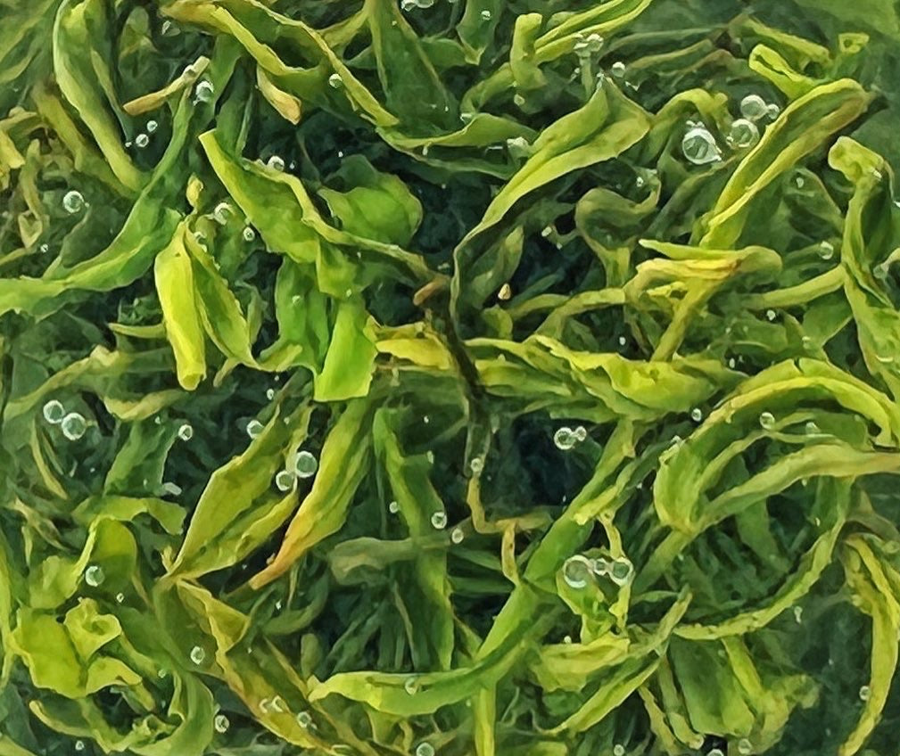 New Releases – One River Tea