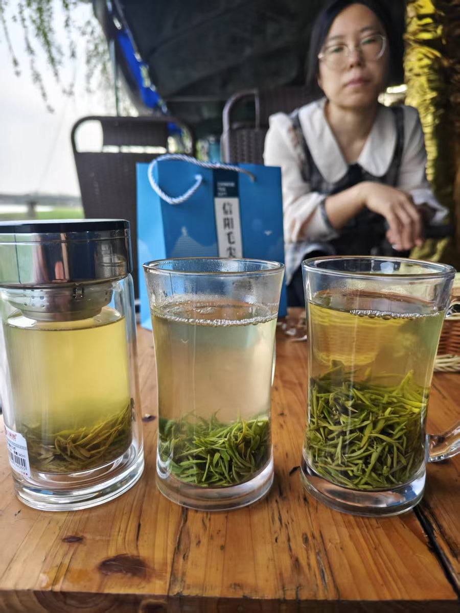 Xinyang Maojian – One River Tea