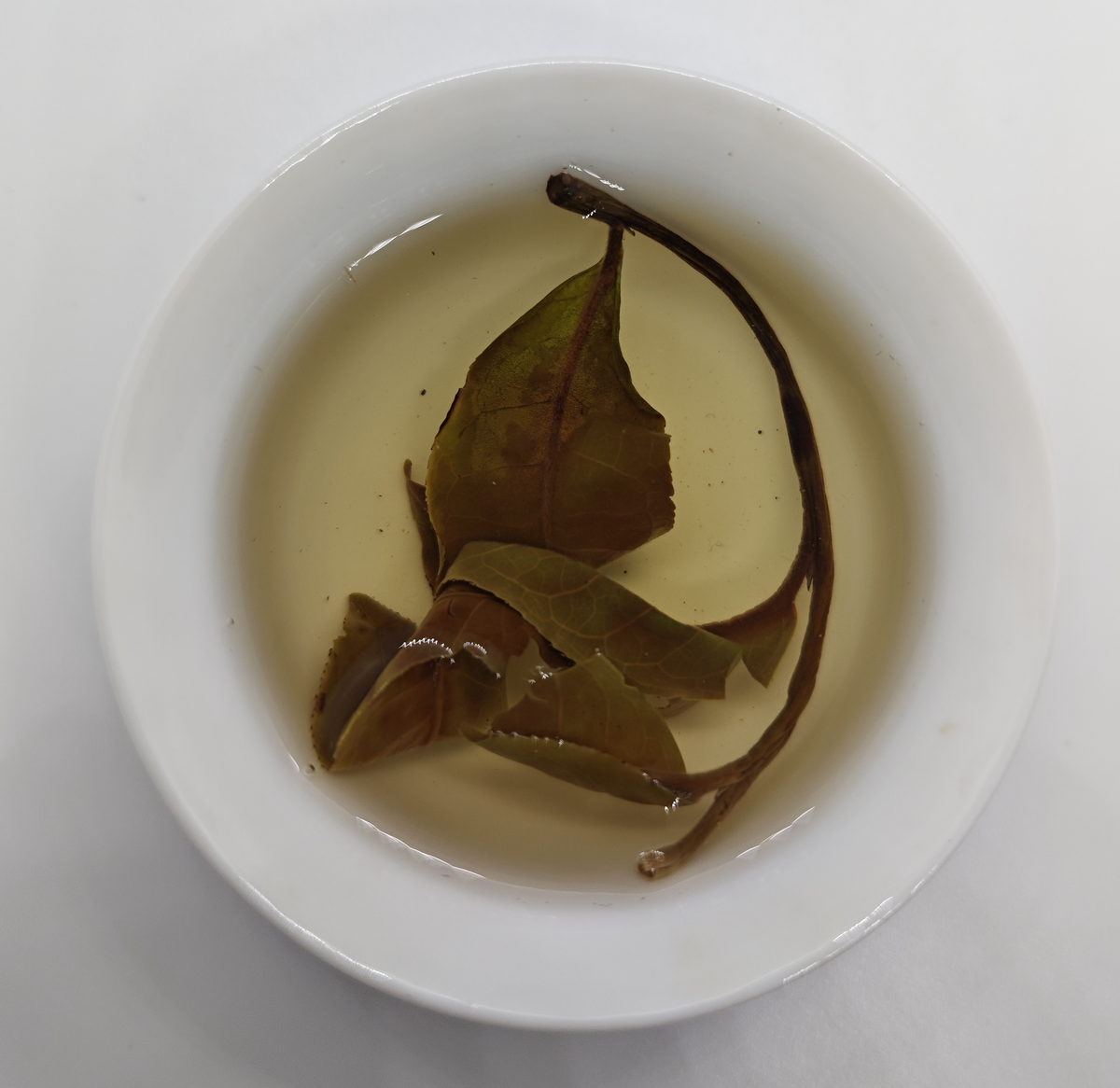 Bulang Arbor White – One River Tea